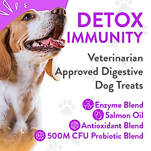 Green Gruff Dog Probiotics & Digestive Enzymes - Organic Dog Immune Supplement with Protein, Multivitamin & Omega 3 Fish Oil for Dogs - Made in USA - Dog Allergy Relief - Canine Probiotic - 90 Chews