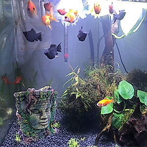 Tfwadmx Aquarium Decoration Statue Fish Tank Ancient Roman Ruins Ornament Cave Hideout for Fighting Fish, Hermit Crabs, Crayfish, SuckerFish, Guppy