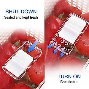 Fruit Containers for Fridge, 3 Pack Vegetable Fruit Container Storage, BELIBUY Fresh Produce Saver Containers BPA Free Fridge Food Storage Containers with Strainers and Vents, White