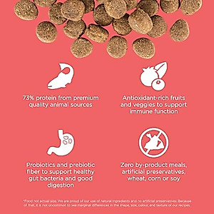 Go! Solutions Carnivore Grain Free Dog Food, 3.5 lb – Salmon + Cod Recipe – Protein Rich Dry Dog Food – Complete + Balanced Nutrition for All Life Stages