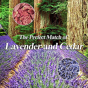 Cedar Space Cedar Blocks for Clothes Storage Set of 24, Cedar Sachets 12-Pcs Lavender Sachets 12-Pcs, 100% Aromatic Red Cedar Accessories for Wardrobes Closets and Drawers