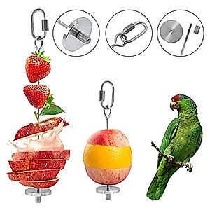 YIQUAN Bird Food Holder, 1PCS,Bird Feeders, Stainless Steel Parrot Fruit Vegetable Stick Holder, Foraging Toy (7.9inch)