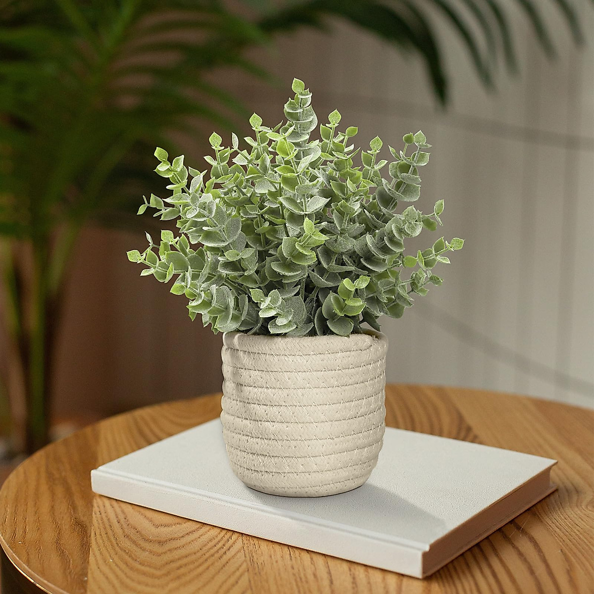Hopewood Faux Plants, Fake Plants Eucalyptus Potted for Home Office Desk, Artificial Eucalyptus with a Weave Basket for Indoor Greenery Tabletop