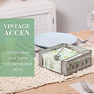 NIKKY HOME Farmhouse Rustic Flat Napkin Holder, Galvanized Metal Napkin Caddy with Bird Weight Ball