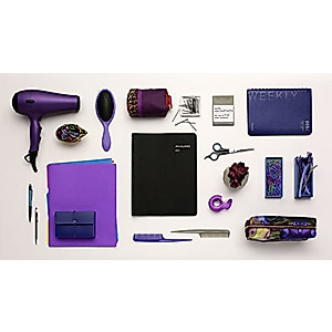 AT-A-GLANCE Weekly / Monthly Appointment Book / Planner 2016, Recycled, 8.25 x 10.88 Inches, Black (70-950G-05)