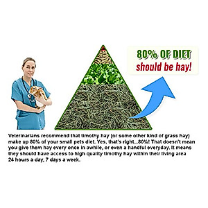 Small Pet Select 3rd Cutting "Super Soft" Timothy Hay Pet Food, 20 Lb.