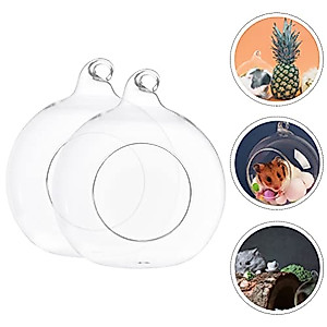 POPETPOP Hanging Flower Pot Glass Hamster House Terrarium Air Plants Containers Clear Small Animal Hideout Hydroponic Flower Vase Guinea Pig Summer Cooling Hut Cage 2Pcs Wedding Decorations