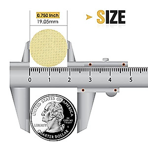 200pcs 3/4 Inch Brass Pipe Screens, 3/4 Inch Brass Pipe Screen with Storage Box