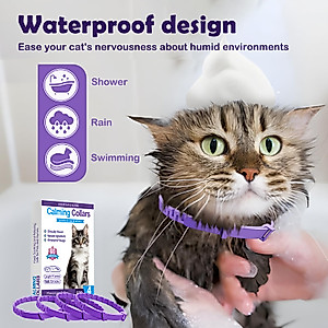 Lintriguingly Calming Cat Collar 4 Pack - Adjustable Pheromone Collar for Anxiety & Stress Relief, Ideal for Cats, Lasts 30 Days, Great for Travel, Vets, Multi-Cat Homes