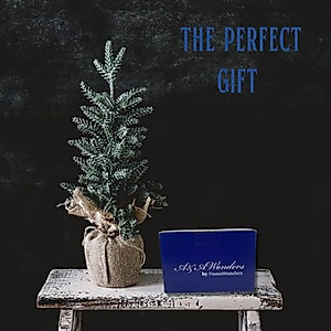 A&A Wonders Premium Whiskey Stones 100% Natural Granite Set Of 9 Chilling Rocks Stone Reusable Ice Cubes For Drinks With Velvet Carrying Pouch, Gift for Whiskey Lovers (Sparks)