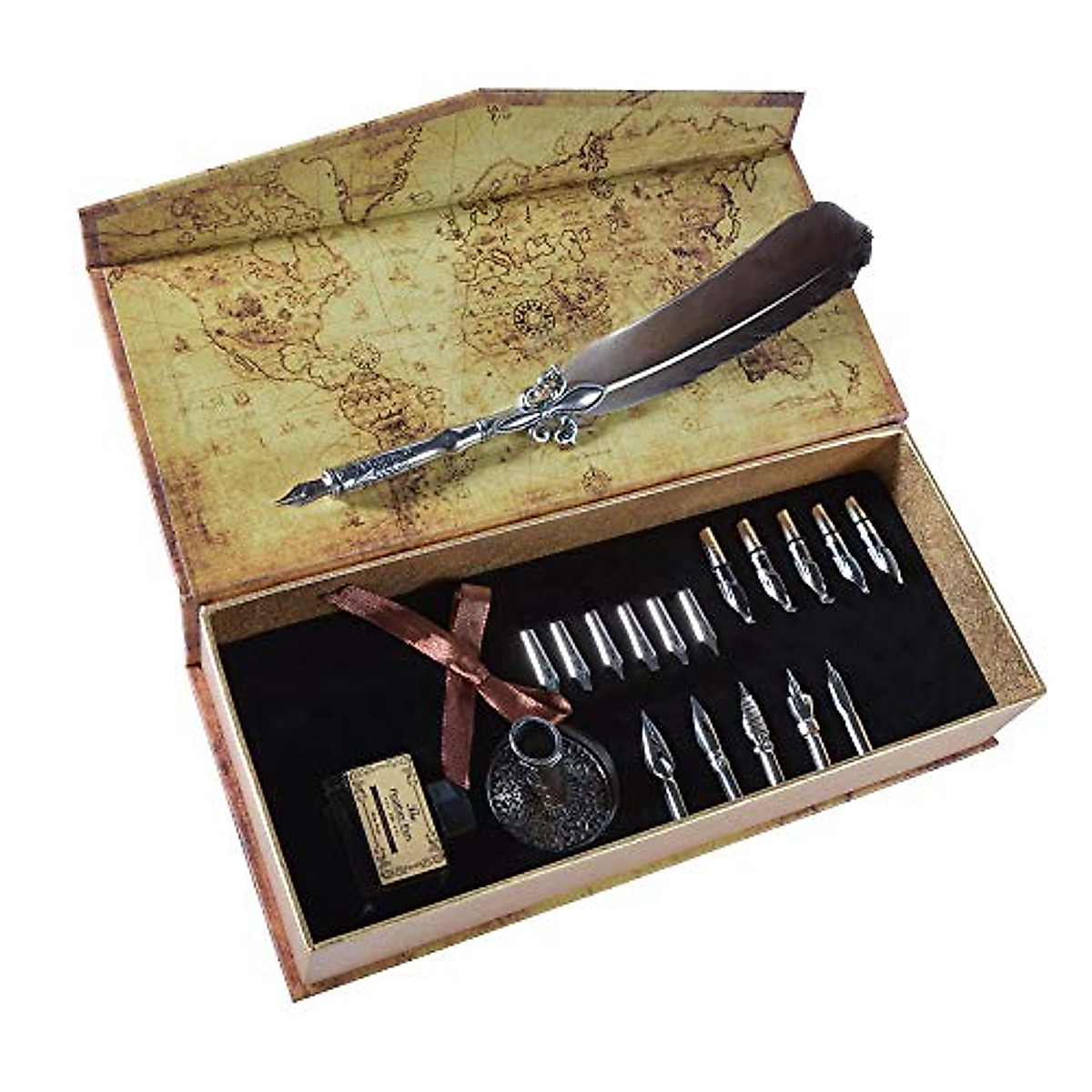 AIVN Calligraphy Pen - Antique Feather Quill with 17 nibs - Writing Case with Black Ink