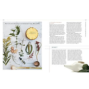 Body into Balance: An Herbal Guide to Holistic Self-Care