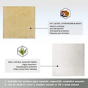 [Pack of 10] Honey Calcium Alginate Dressing 2”x2”, Honey Wound Patches with Calcium, Fast Healing Honey Pads for Bedsores, Surgical Wound, Diabetic Foot Ulcers, Burns and Skin Tears