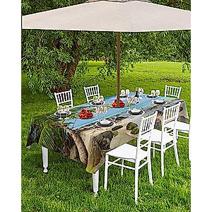 CyCoShower Outdoor Tablecloth Palm Tree Beach Sea Cloud Blue Sky Island Reef Stone Spillproof Outdoor Tablecloth with Umbrella Hole Zipper for Spring Summer Patio Table,52"x70"