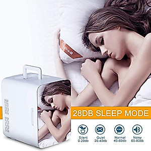 WERSEON Makeup Cosmetics Mirrored Door Mini Fridge Thermoelectric Cooler and Warmer AC/DC Powered System – Compact and Portable for Travel, Car, Skincare or Medical Use (White)