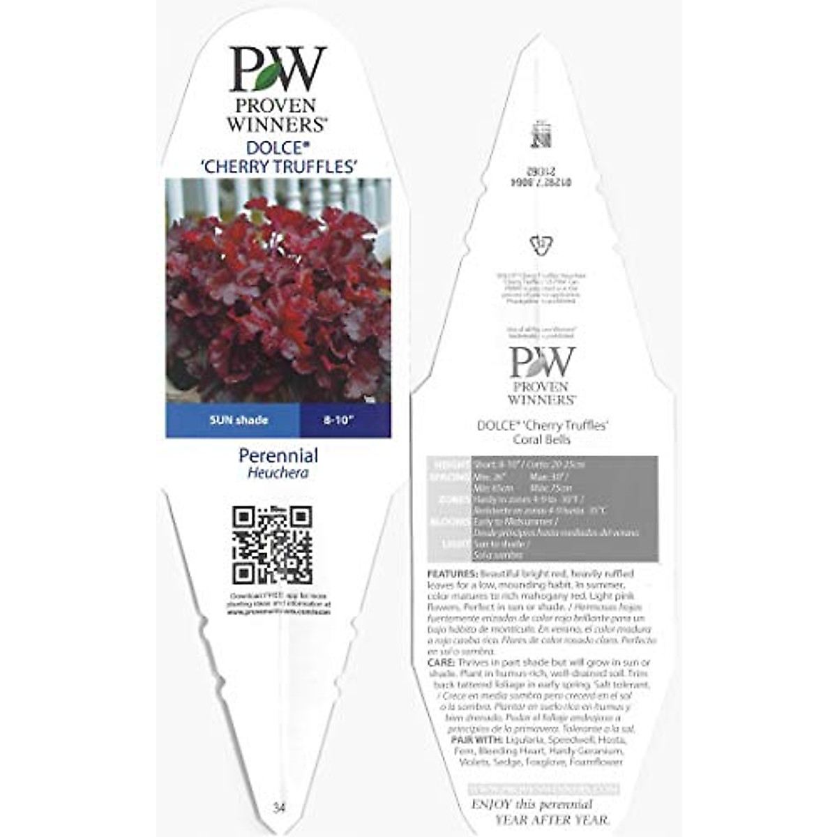 Proven Winners HEUPWP2146103 Cherry Truffles Live Plant, 0.65 Gallon