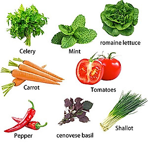 changsha 50Pcs Grow Baskets and Sponges - Grow Sponge and Grow Plant Basket Replacement Pod Cups Pot for Hydroponic Garden System (Round)