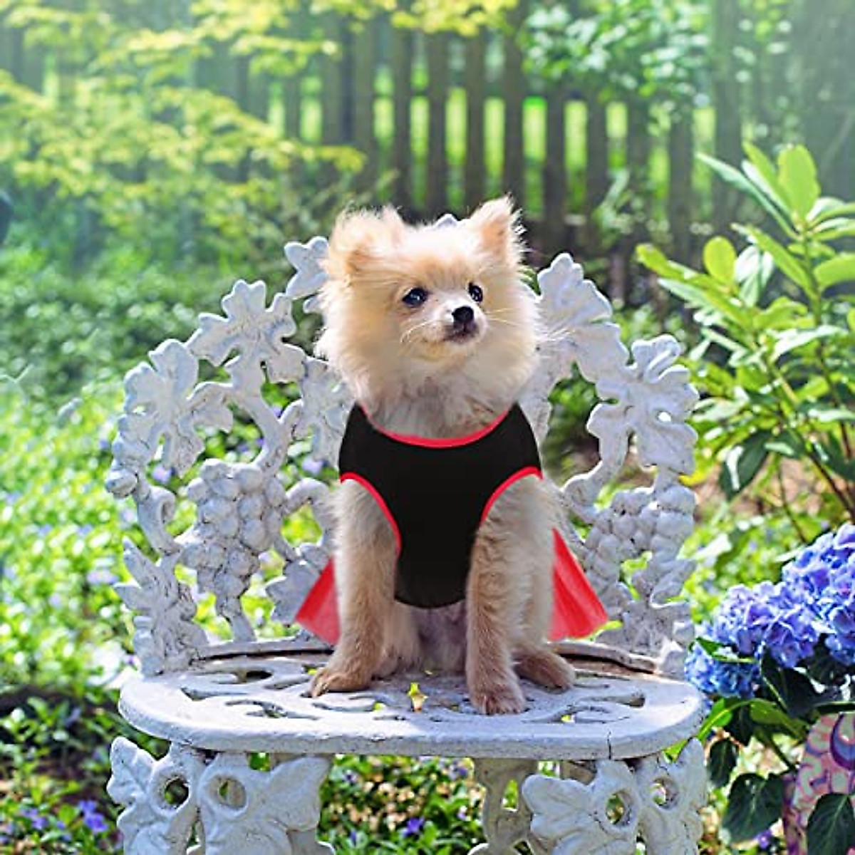 Phiyolin Dog Dress, Pet Princess Dress Red Organza Puppy Dress with Cute Bow, Pet Dress with Diamond Dog Skirt for Small to Medium Dogs(M,Red)