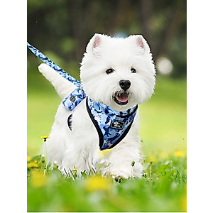 Step in Dog Harness and Leash Set, Adjustable Reflective No Pull Dog Vest Harness Set for Puppy Medium Dog with Bow Collar, Leash and Poop Bag, Medium Blue Camouflage