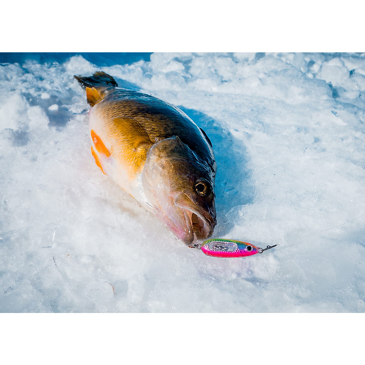 Northland Fishing Tackle Glass Buck-Shot Ice Fishing Jigging Spoon, Glo White, 3/32 Oz for Walleye, Perch, and Crappie