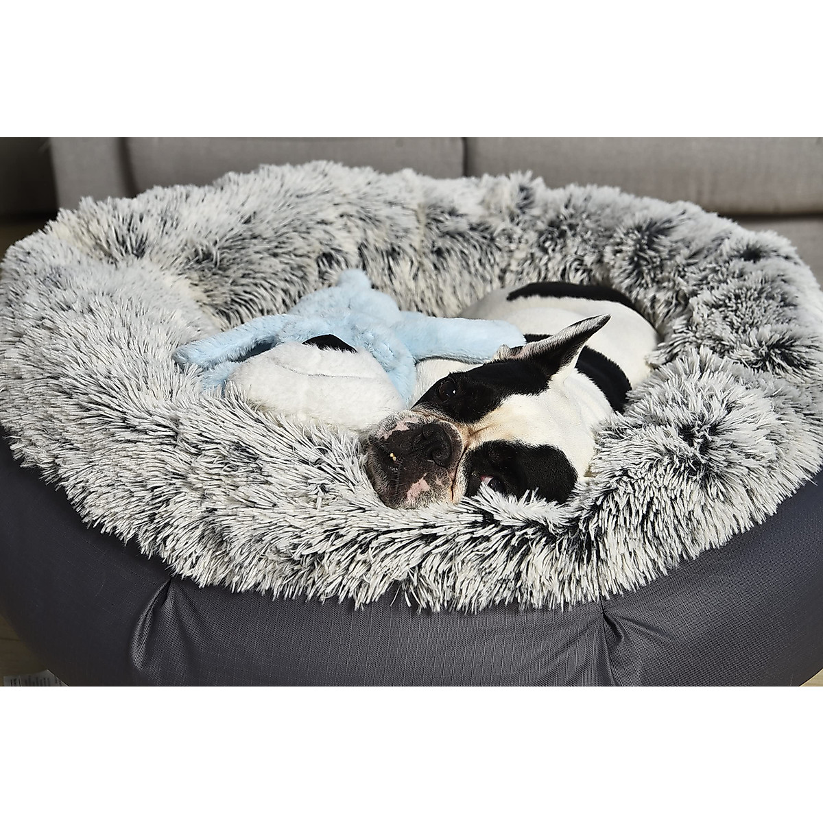 PetMedics 5-in-1 Calming Behavioral Stuffed Dog Toy: Heartbeat, Soothing Sounds, Heating Pads, Lavender Scent - Anxiety Relief, Crate Training - Ideal for Moderate & Soft Chewing Dogs & Puppies