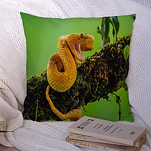 Decorative Polyester Throw Pillow Covers Viper Snake Bothriechis Forests Rica Trek Schlegelii Beautiful Colored Animals Wildlife Abstract Cushion Pillow Covers for Couch Sofa Home Car 18x18 Inch