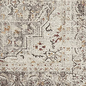 RUGGABLE Sarrah Runner Rug - Perfect Vintage Washable Rug for Entryway Hallway Kitchen - Pet & Child Friendly - Stain & Water Resistant - Hazel 2.5'x7' (Standard Pad)