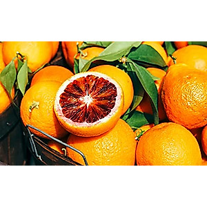 juicyodle Rare Dwarf Blood Orange Tree Plant Seeds for Planting - 30 Seeds (30, Blood Orange)