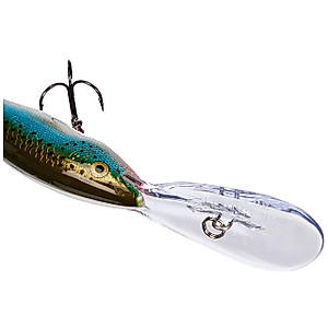 Rapala Deep Tail Dancer 11 Fishing lure, 4.375-Inch, Rainbow Trout