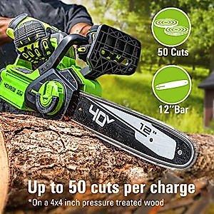 Greenworks 40V 12" Chainsaw, 2.0Ah Battery and Charger Included (Gen 2)