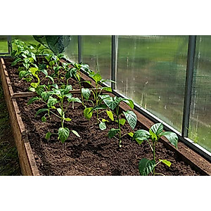 MAXIROOT Organic Seedling Solution-Fertilizer, CDFA OMI, 32 oz