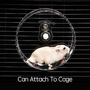 Quiet Hamster Exercise Wheel Silent Spinner, Made of crylic, Stand Included (8.7")