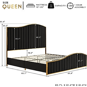 AMERLIFE Queen Size Bed Frame, 61.4" High Headboard Platform Bed Velvet Upholstered with Gold Trim & Footboard/Wooden Slats/No Box Spring Required/Black