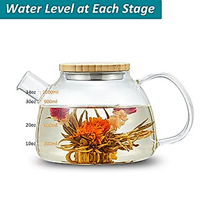 34oz/1000ml Glass Teapot with Glass Tea Infusers, Glass Tea Kettle for Loose Tea, with Removable Clear Infusers for Blooming Flower Tea, Ideal Tea Sets for Women, Tea Maker Gift