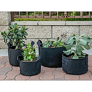 247Garden 5-Pack 7-Gallon Aeration Fabric Pot/Plant Grow Bag w/Handles (260 GSM, Black, 12H x 13D)