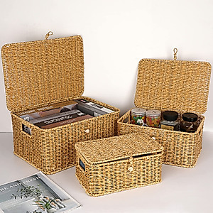 Hipiw Resin Woven Baskets Bin with Lid & Handle - Set of 3 Rectangular Shelf Baskets Multipurpose Storage Basket Boxes Home Decorative Container for Closet Shelf Organizing, Large Size