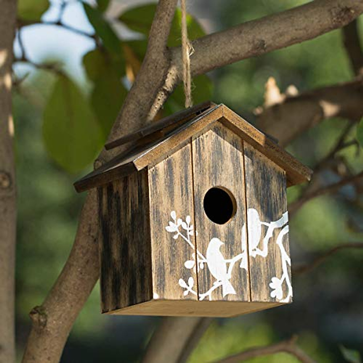 Topadorn Wooden Bird House Hanging Outdoor,Eco Friendly Materials and Decorative with Bird Printed