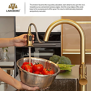 Brushed Gold Kitchen Faucet with Pull Down Sprayer, Lava Odoro Single Handle Gold Kitchen Sink Faucet, Brushed Brass Faucet for Kitchen Sink 1 Hole and 3 Hole, Deck Plate Included, KF421-SG