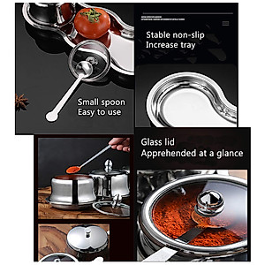 TENTA TENTA KITCHEN Gourmet Seasoning Box with Serving Spoons, Spice Jar Set Condiment Cruet Bottle, Kitchen Supplies,Nice Design for Kitchen (Stainless Steel With Glass Lids)