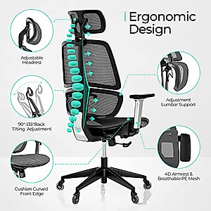 LINSY HOME High-Back Office Chair, Swivel Ergonomic Task Chair with Adjustable Headrest and Arms, Lumbar Support and PU Wheels, Computer Mesh Chair for Home Office, Dark Grey