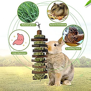 PINVNBY Bunny Chew Toys for Teeth Natural Organic Fruitwood Rabbits Cage Molar Sticks for Chinchillas, Guinea Pigs, Hamsters, Parrots and Other Small Pet Chewing Improve Dental Health