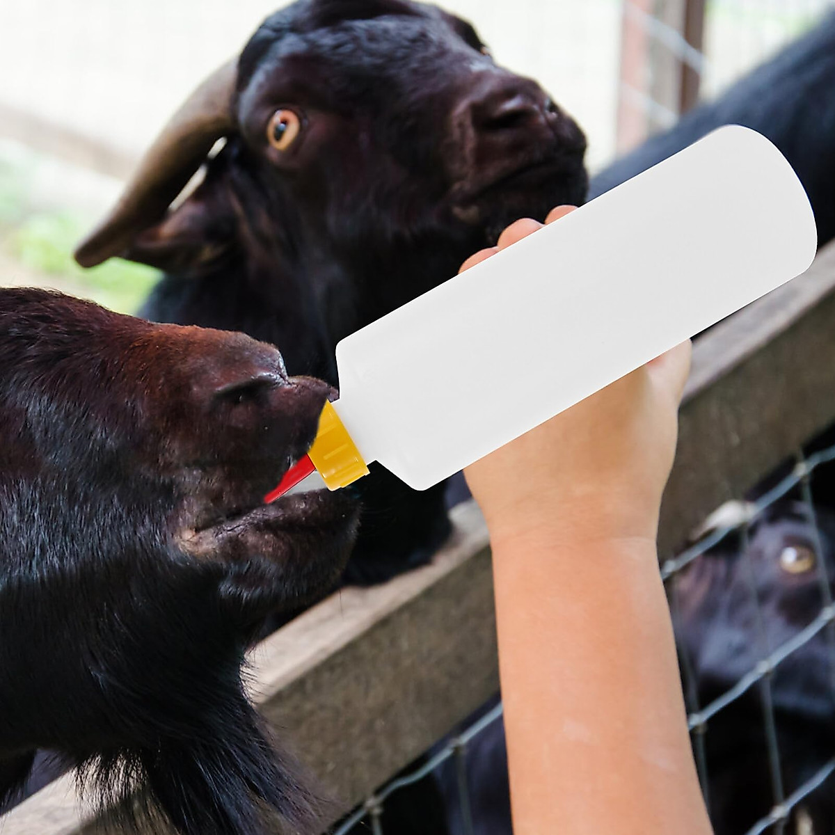 Tofficu Bottle 5Sets 400ml Lamb Feeding Bottle Jug Baby Goat Calf Milk Water Bottle with - On Teat Kid Livestock Drink Bottle for Farm Accessories Cow Sheep Pig Goat Supplies