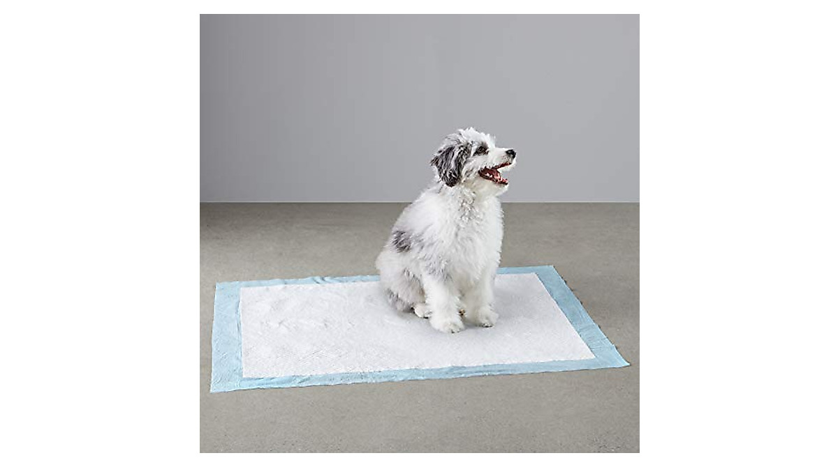 Amazon Basics Puppy Pee Pads – Leak-Proof, Heavy-Duty Absorbent Trainning