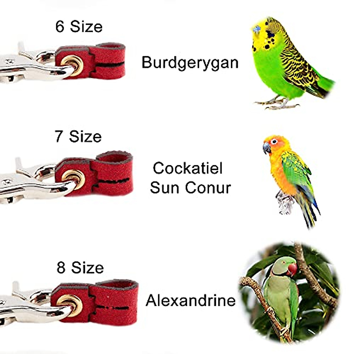 SUPERFINDINGS 12pcs 0.15-0.17x0.04Inch Mixed Color Faux Suede Leather Birds Foot Rings Parrot Leg Bands Opening Feet Ring for Pigeon Dove Chicks Bantam Quail Lovebirds Finch