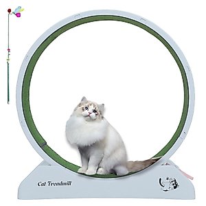 Cat Wheels for Indoor Cats, 31.5'' Cat Exercise Wheel, Cat Wheel with Brake, Removable Running Mat, Easy to Install,Cat Wheel Exerciser for Cat's Fitness & Health,Suitable for Most Cats (Blue)