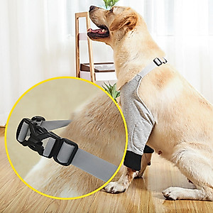 Adjustable Dog Elbow Protector Soft Breathable Stable Support for Injury, Front Legs Sleeve for Dog Recovery (S)