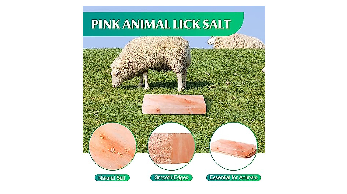 Fabbay 8 Pcs Himalayan Animal Lick Salt Blocks