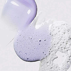 Pureology Hydrate Moisturizing Shampoo | For Medium to Thick Dry, Color Treated Hair | Sulfate-Free | Vegan