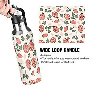xigua Ladybug Water Bottle Double Walled Stainless Steel Leak Proof Thermo Flask for Sports Gym Cycling Outdoor,20 oz.