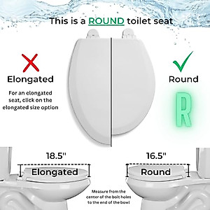 Centoco Elongated Toilet Seat, Open Front with Cover, Heavy Duty Commercial, Stainless Steel Self Sustaining Hinge, Plastic, Made in the USA, 820STSS-001, White